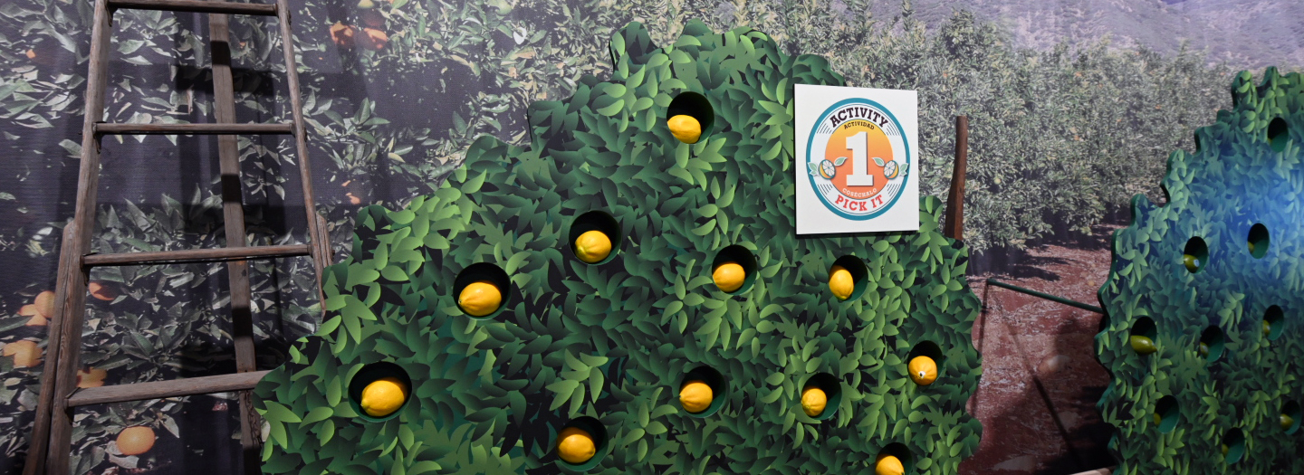 Pulp Culture: A Juicy Tale of the Orange Empire – San Bernardino County ...