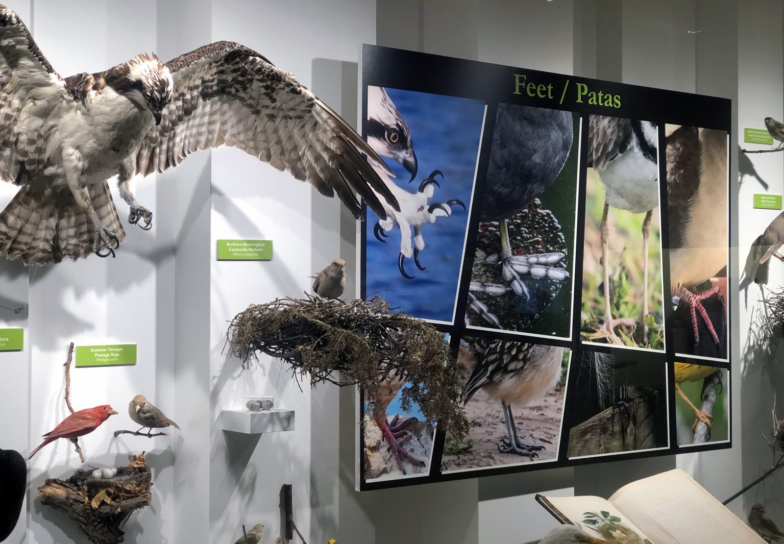 Museum Map – San Bernardino County Museum