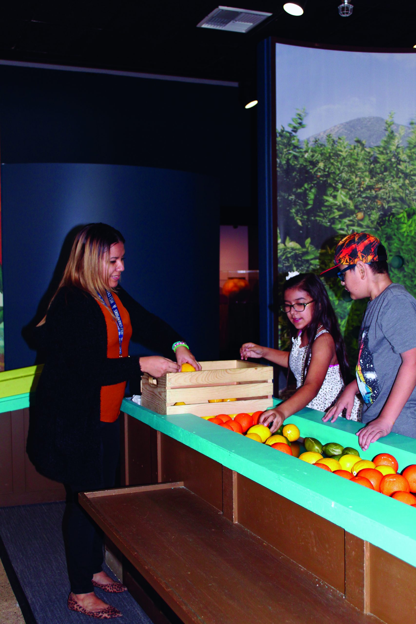 San Bernardino County Museum