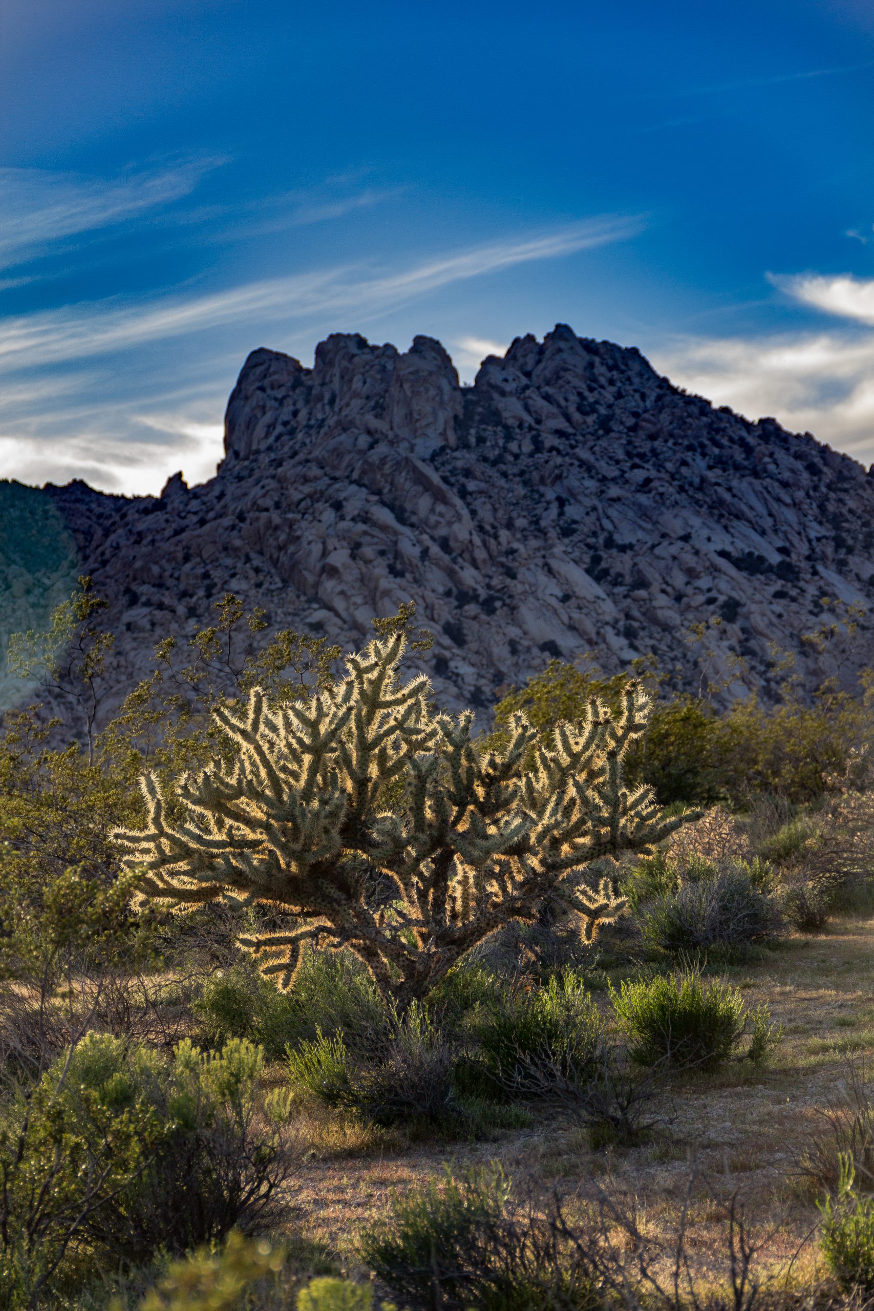 Mosaics of the Mojave – San Bernardino County Museum