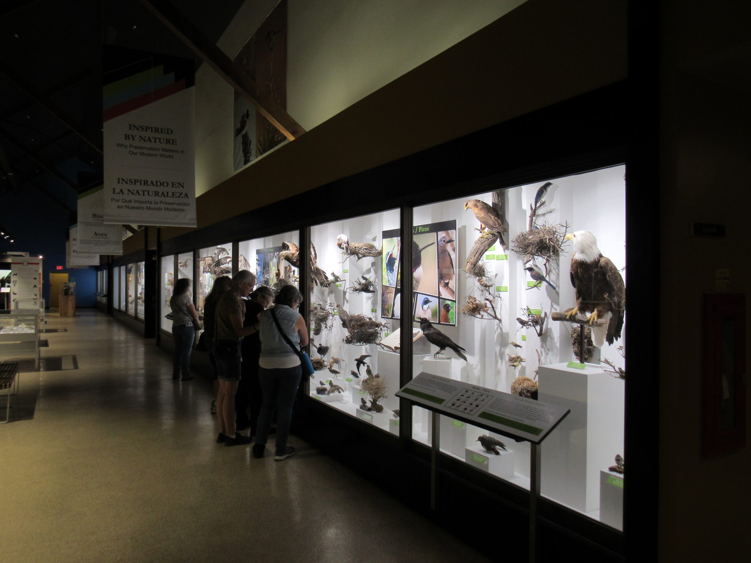 Inspired by Nature – San Bernardino County Museum