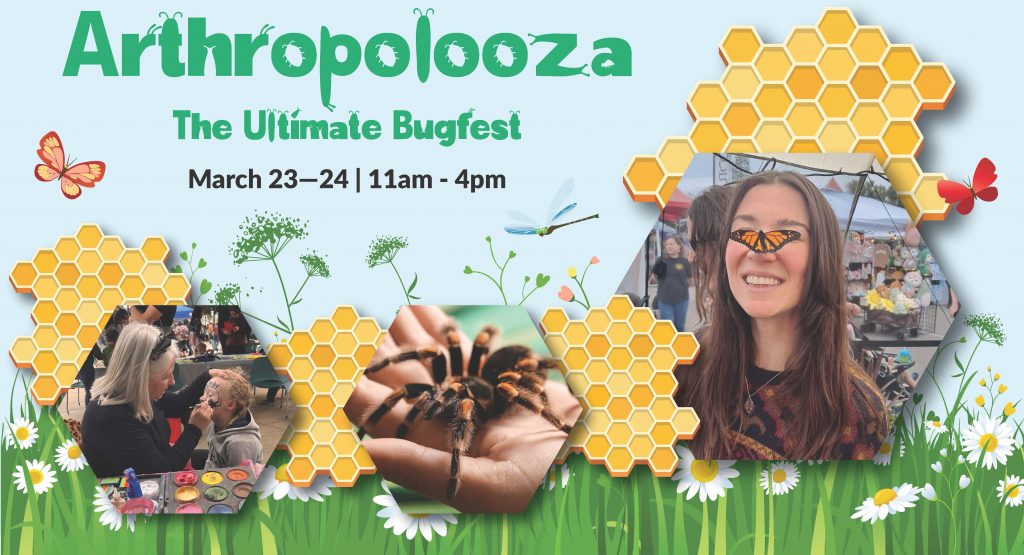 Arthropolooza: The Ultimate Bugfest – San Bernardino County Museum