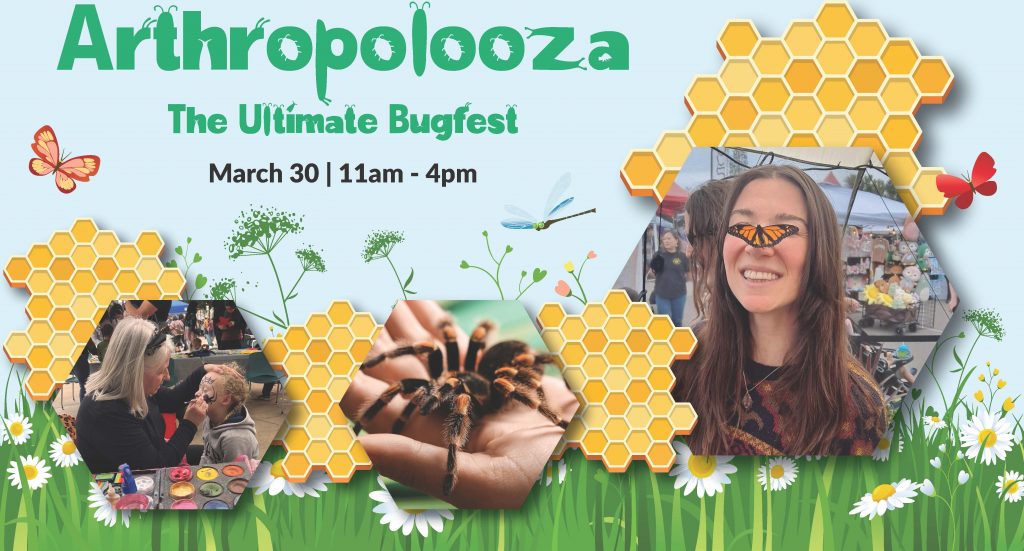 Arthropolooza: The Ultimate Bugfest – San Bernardino County Museum