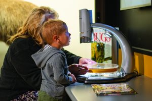 San Bernardino County Museum