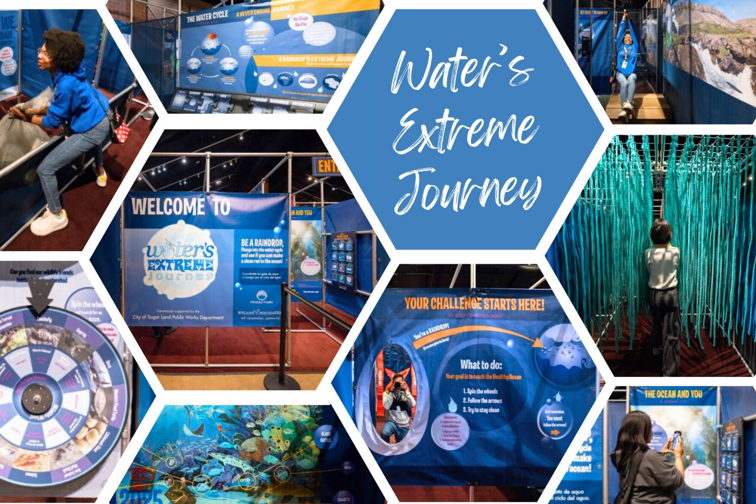 Dive Into an Adventure with Water’s Extreme Journey Exhibit at the ...