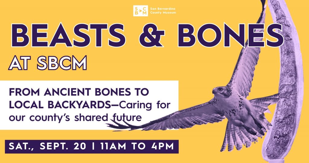 Beasts and Bones – San Bernardino County Museum